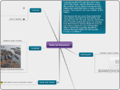 Natural Disasters - Mind Map