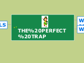 THE PERFECT TRAP - Mind Map