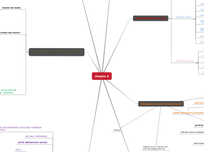 Michelle Mind Map - Mind Map