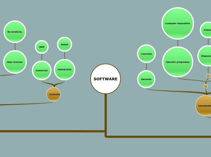 SOFTWARE - Mind Map