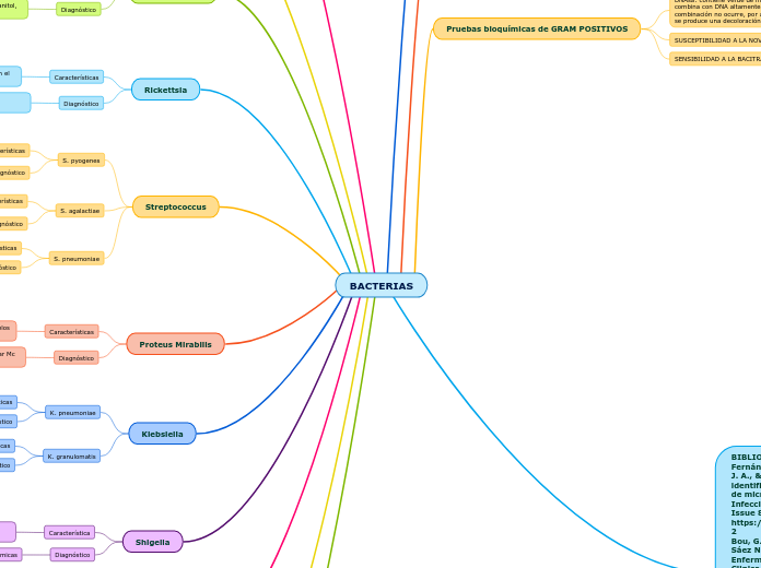 BACTERIAS - Mind Map