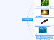 Photosynthesis - Mind Map