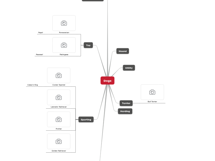 Dogs - Mind Map
