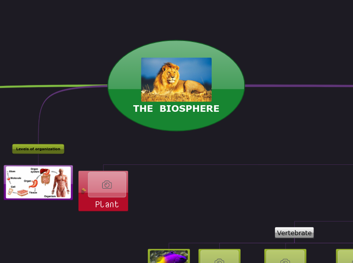 THE BIOSPHERE - Mind Map