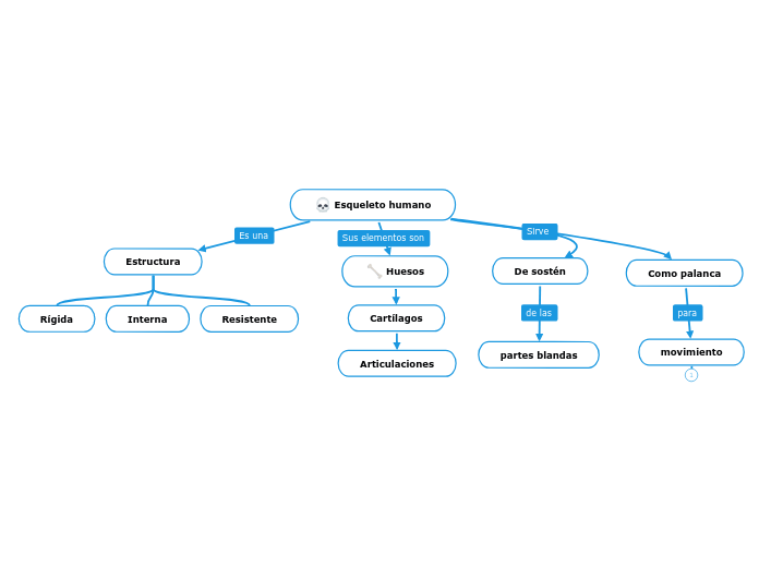 Esqueleto humano - Mind Map