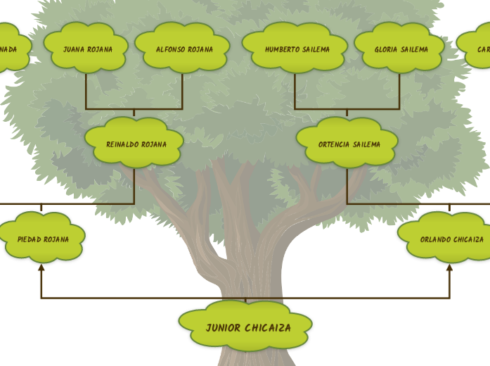 JUNIOR CHICAIZA - Mind Map