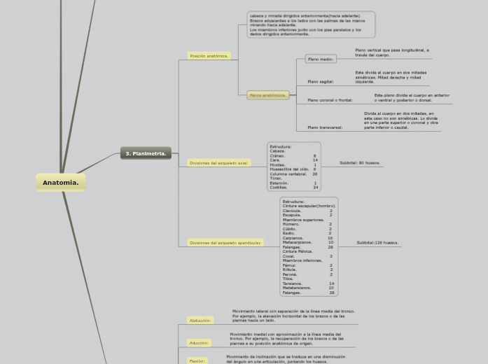Anatomia. - Mind Map