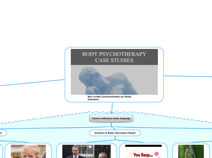 Non verbal Communication by Ulrich Sollman...- Mind Map