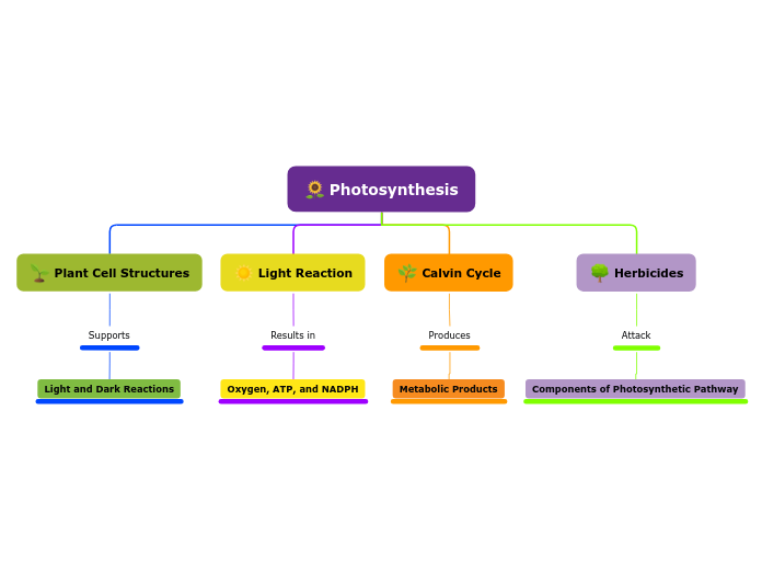 Photosynthesis Concept Map