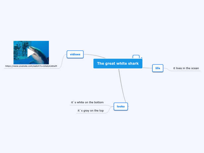 The great white shark - Mind Map