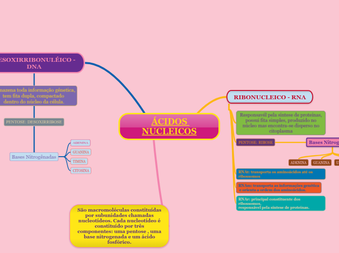 ÁCIDOS NUCLEICOS - Mapa Mental