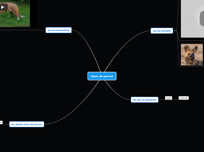 tipos de perros - Mind Map