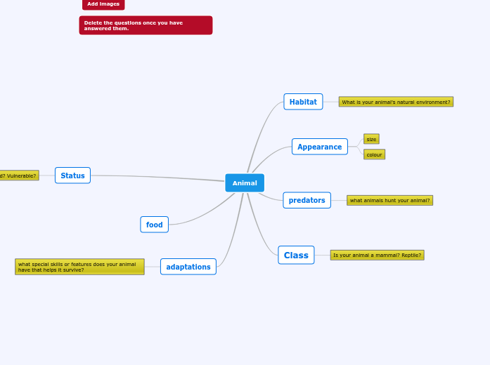 Animal - Mind Map