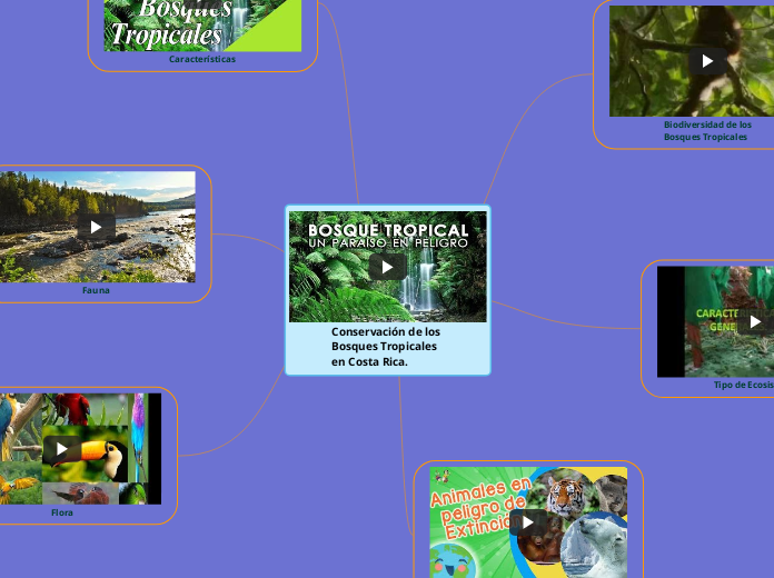 Conservación de los Bosques Tropicales en...- Mind Map