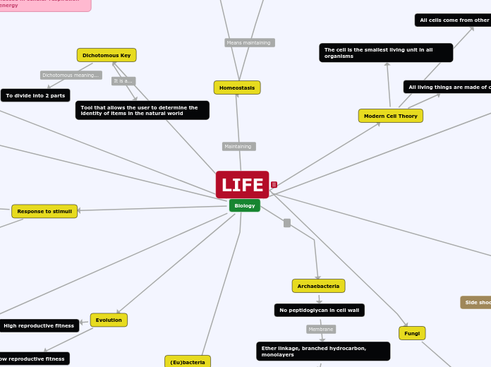 LIFE - Mind Map
