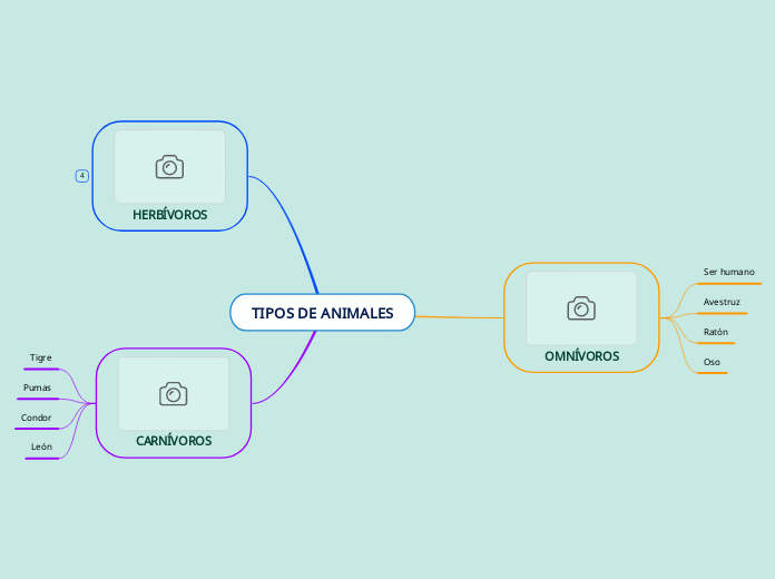 TIPOS DE ANIMALES - Mind Map