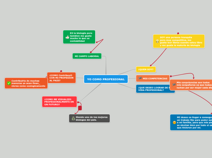 yo como profesional - Mind Map