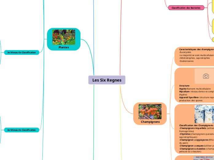 Les Six Regnes - Mind Map