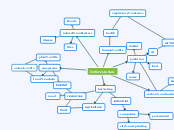Deforestation - Concept Map