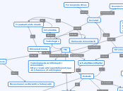 TIC - Concept Map