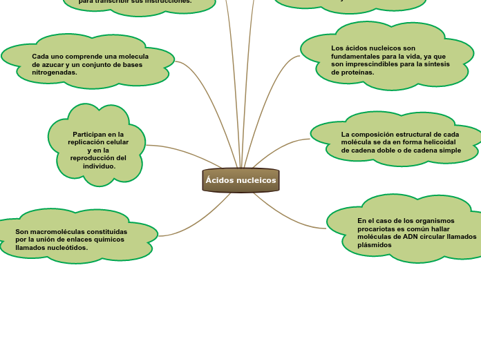 Ácidos nucleicos - Mind Map