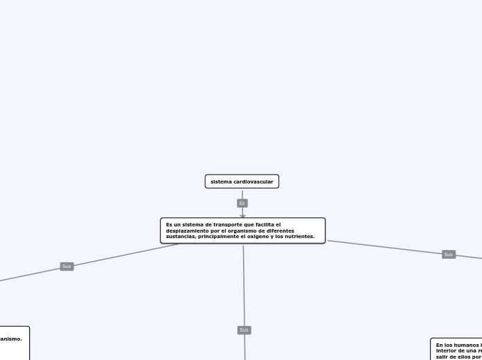 sistema cardiovascular - Mind Map