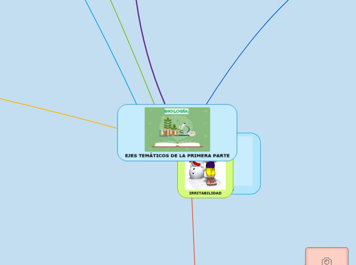 EJES TEMÁTICOS DE LA PRIMERA PARTE - Mind Map