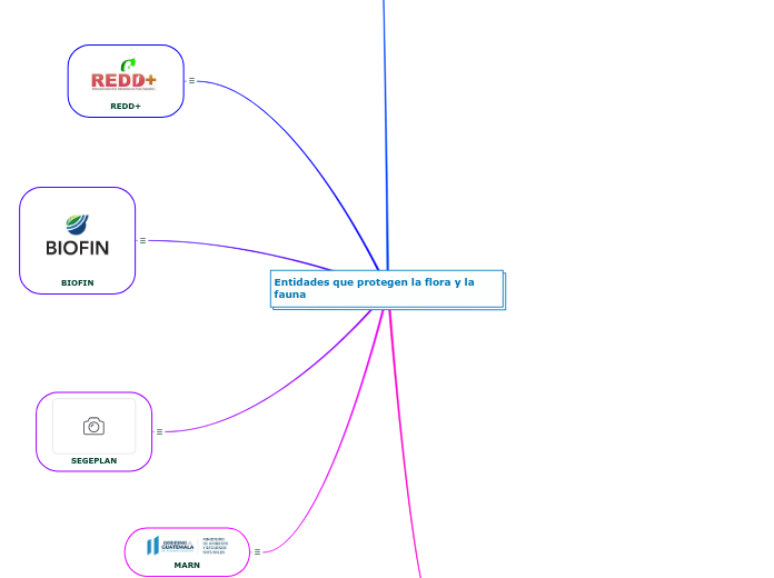 Entidades que protegen la flora y la fauna - Mind Map