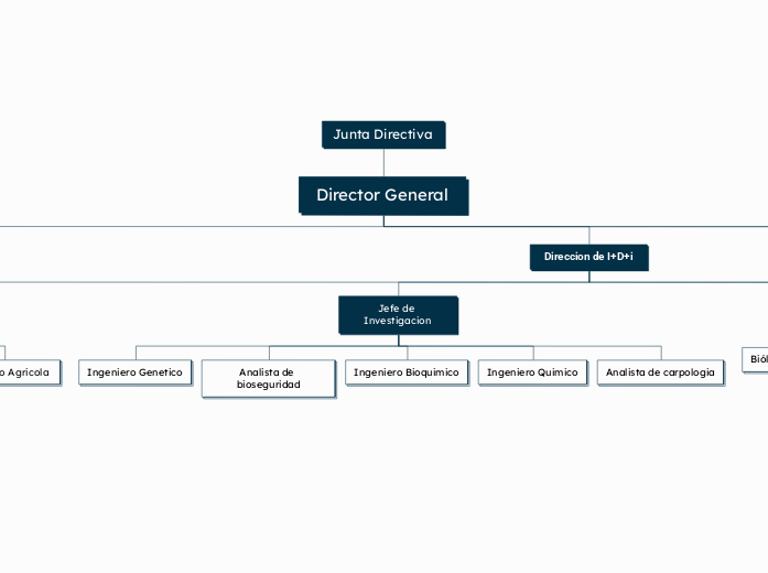 Junta Directiva | Mapa mental Mindomo