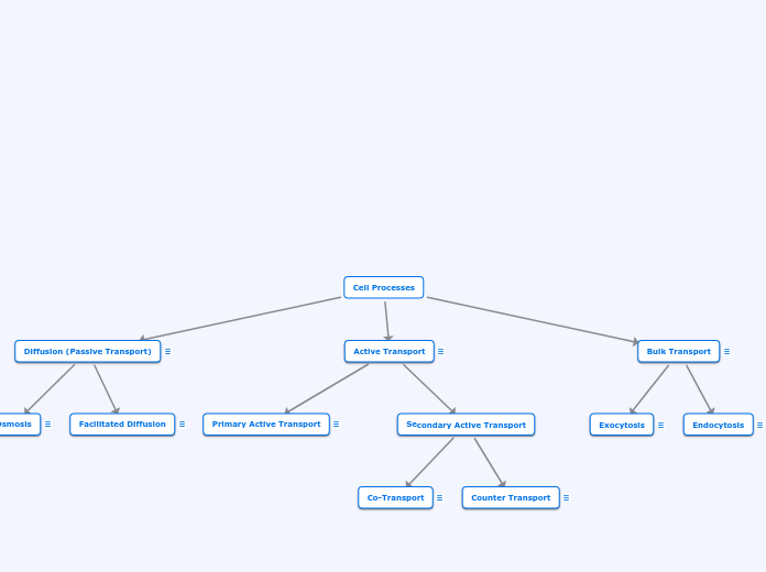 Cell Processes Copy 2 - Mind Map