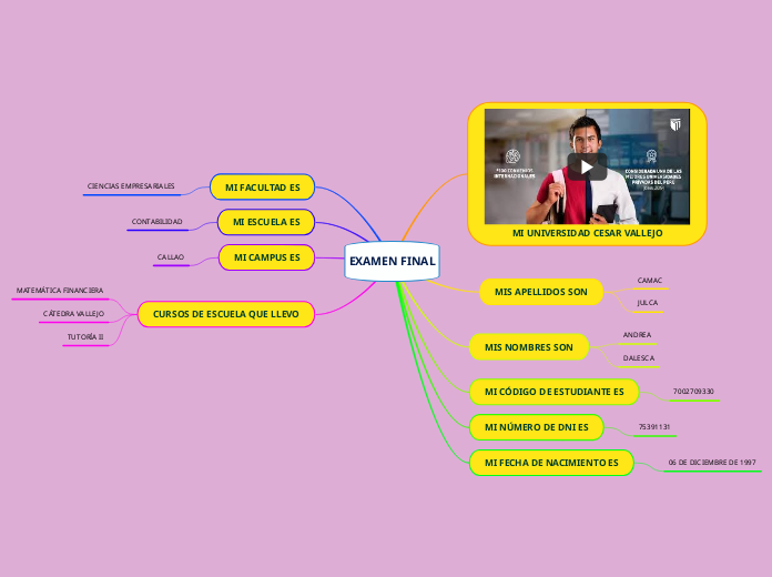 EXAMEN FINAL - Mind Map