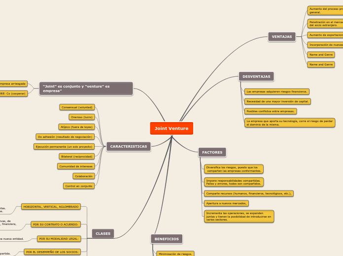 Joint Venture - Mind Map