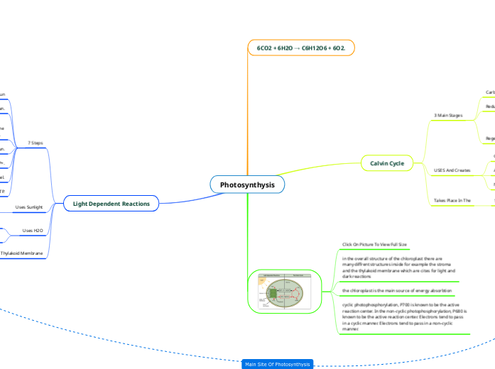 Cyclic And Noncyclic Photophosphorylation Concept Map