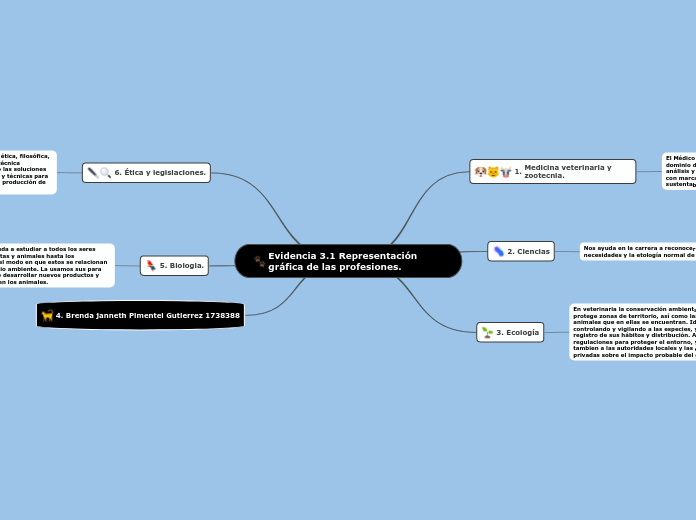 Evidencia 3.1 Representación gráfica de la...- Mind Map