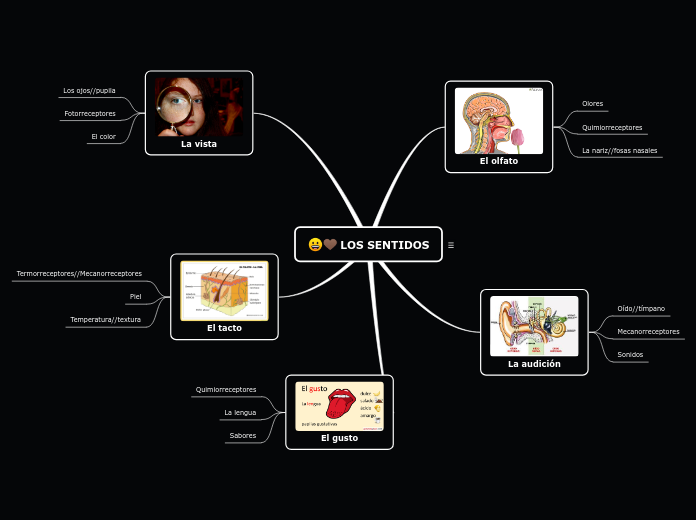 LOS SENTIDOS - Mind Map