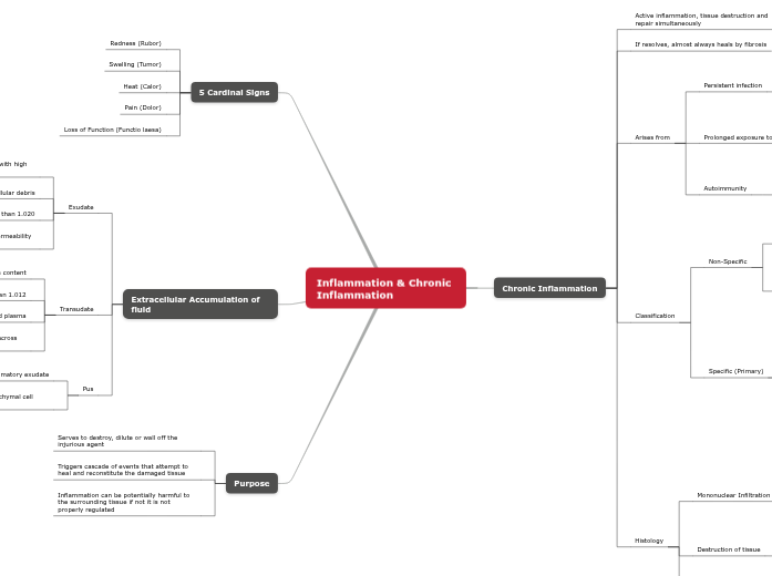 Inflammation & Chronic Inflammation - Mind Map