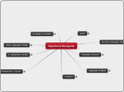 Napoleone Bonaparte - Mind Map