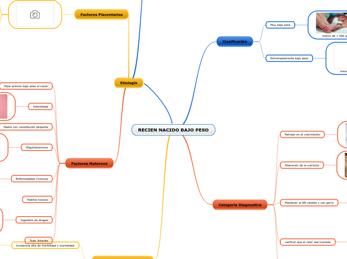 RECIEN NACIDO BAJO PESO - Mind Map