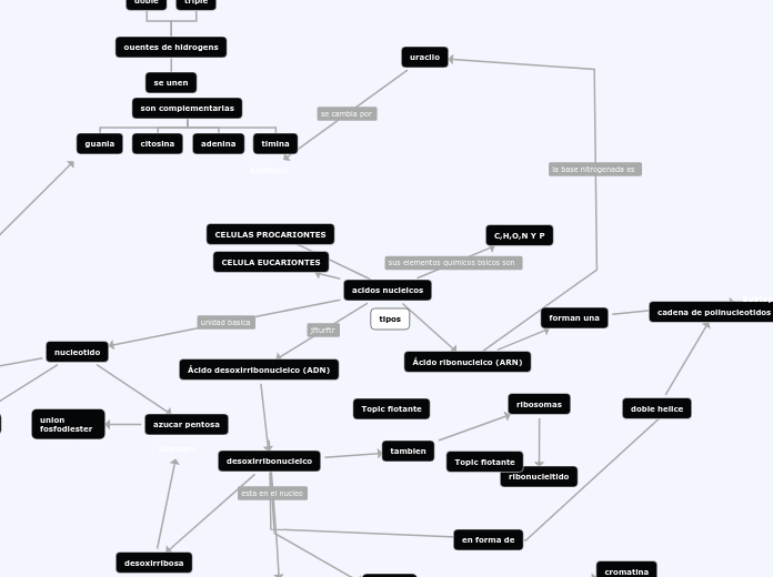 acidos nucleicos - Mind Map