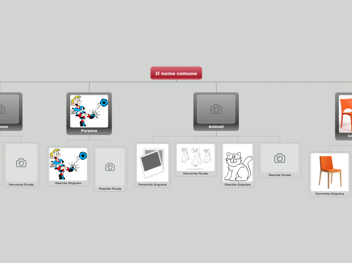 Il nome comune - Mind Map