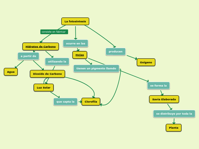 La fotosintesis - Mind Map