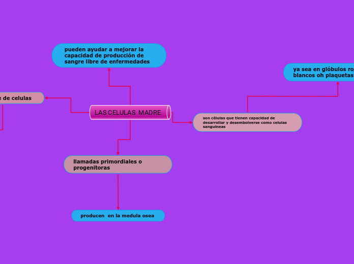 LAS CELULAS MADRE - Mind Map