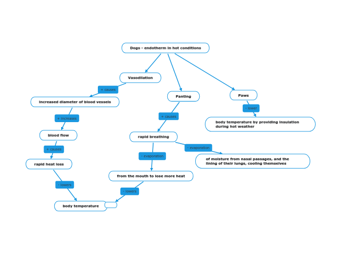 Dogs - endotherm in hot conditions - Mind Map
