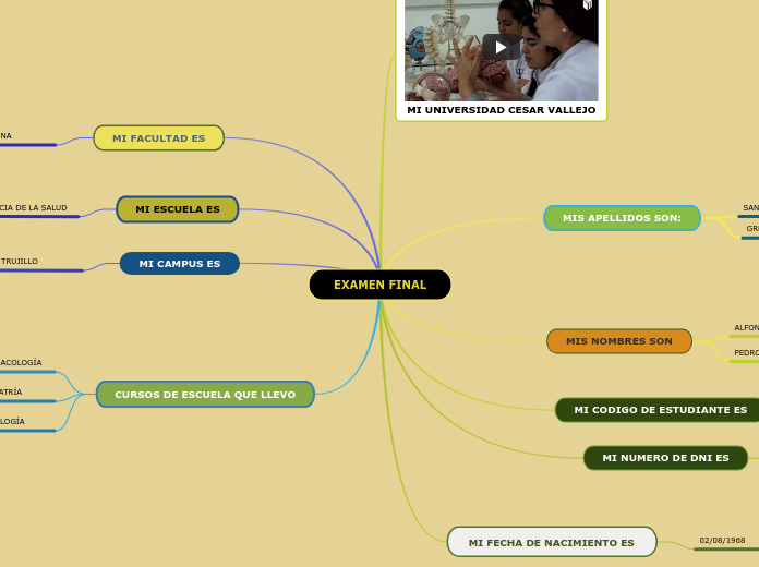 EXAMEN FINAL - Mind Map