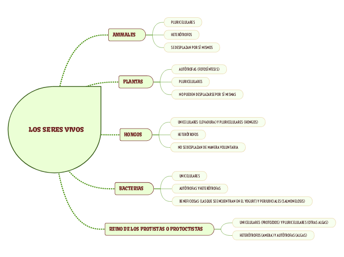 LOS SERES VIVOS - Mind Map