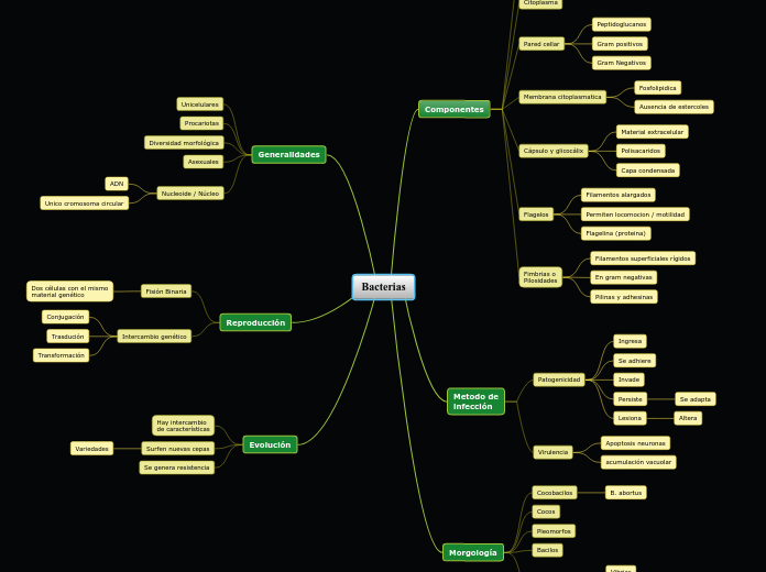 Bacterias - Mind Map