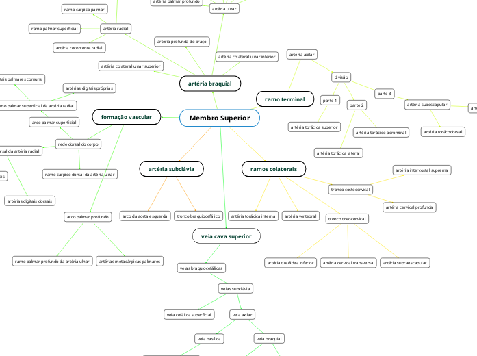 Membro Superior - Mapa Mental