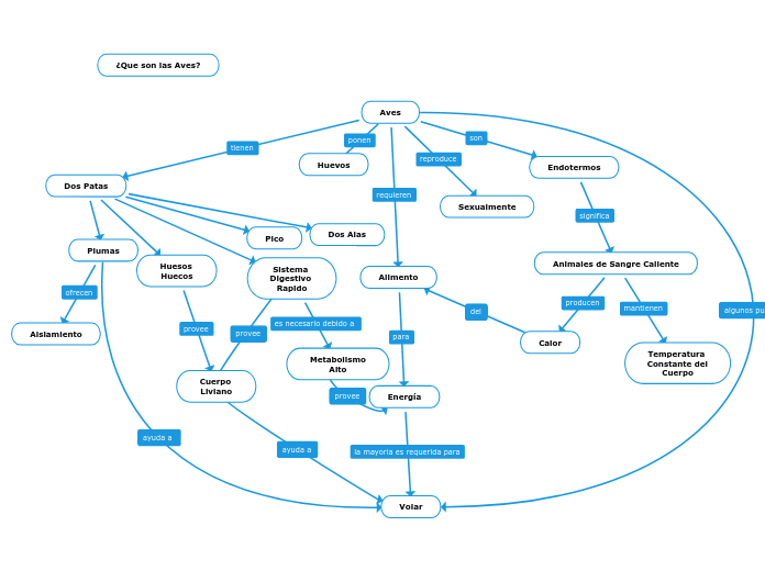 Aves - Mind Map