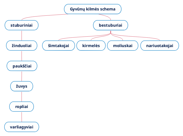 Gyvūnų kilmės schema - Mind Map