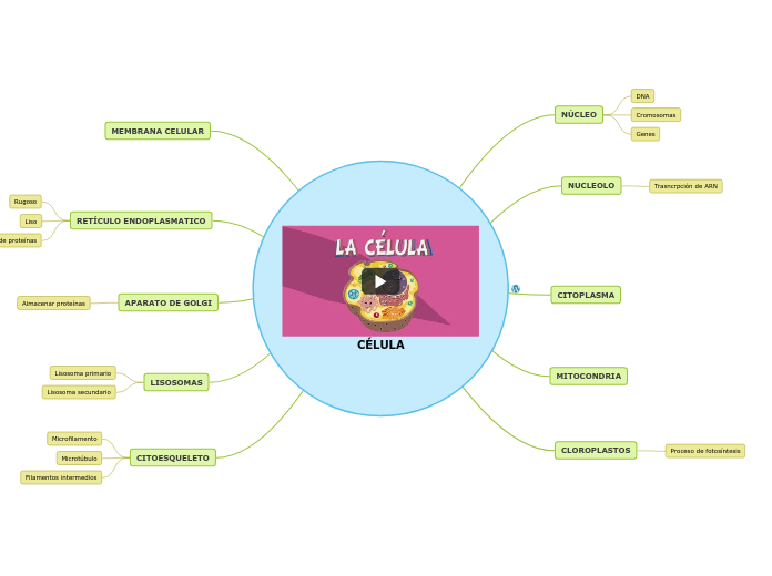 CÉLULA - Mind Map